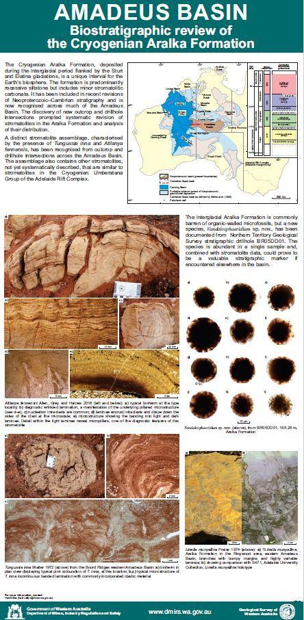 Amadeus Basin: Biostratigraphic review of the Cryogenian Aralka Formation